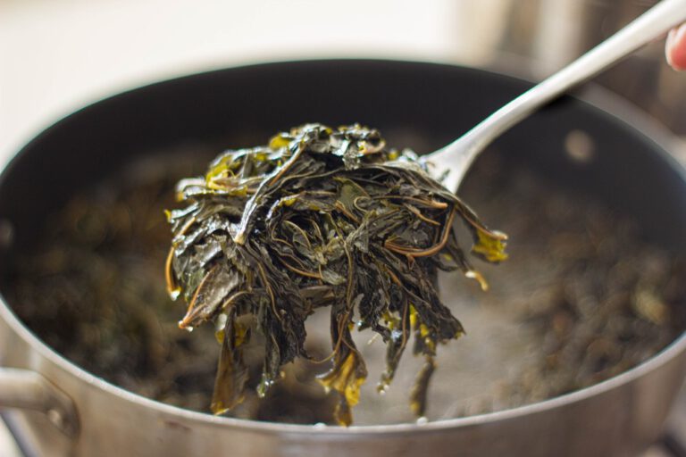 Mulukhiyah - Taste of Sham